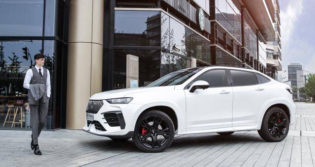WEY VV7 GT巴博斯版限量300台上市，硬核实力获李治廷点赞_搜狐汽车_搜狐网