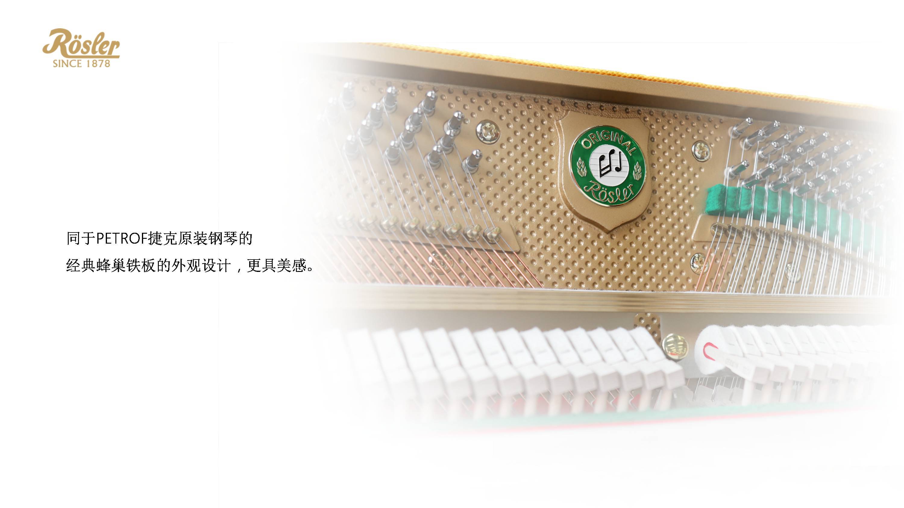 佩卓夫罗瑟RD120技术评测-搜狐大视野-搜狐新闻