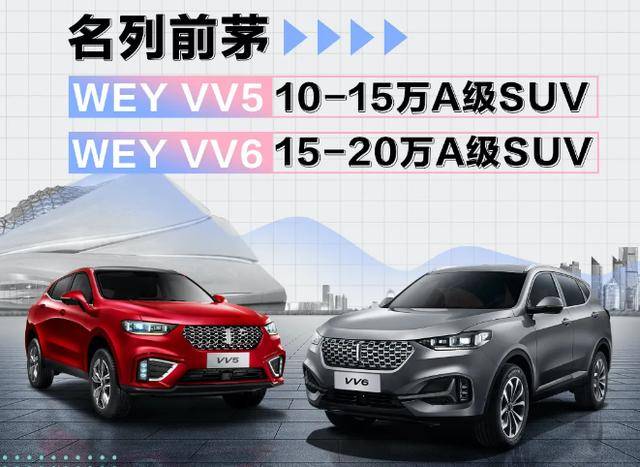 15-20万用户满意度名列前茅，WEY VV6安全属性划重点_搜狐汽车_搜狐网