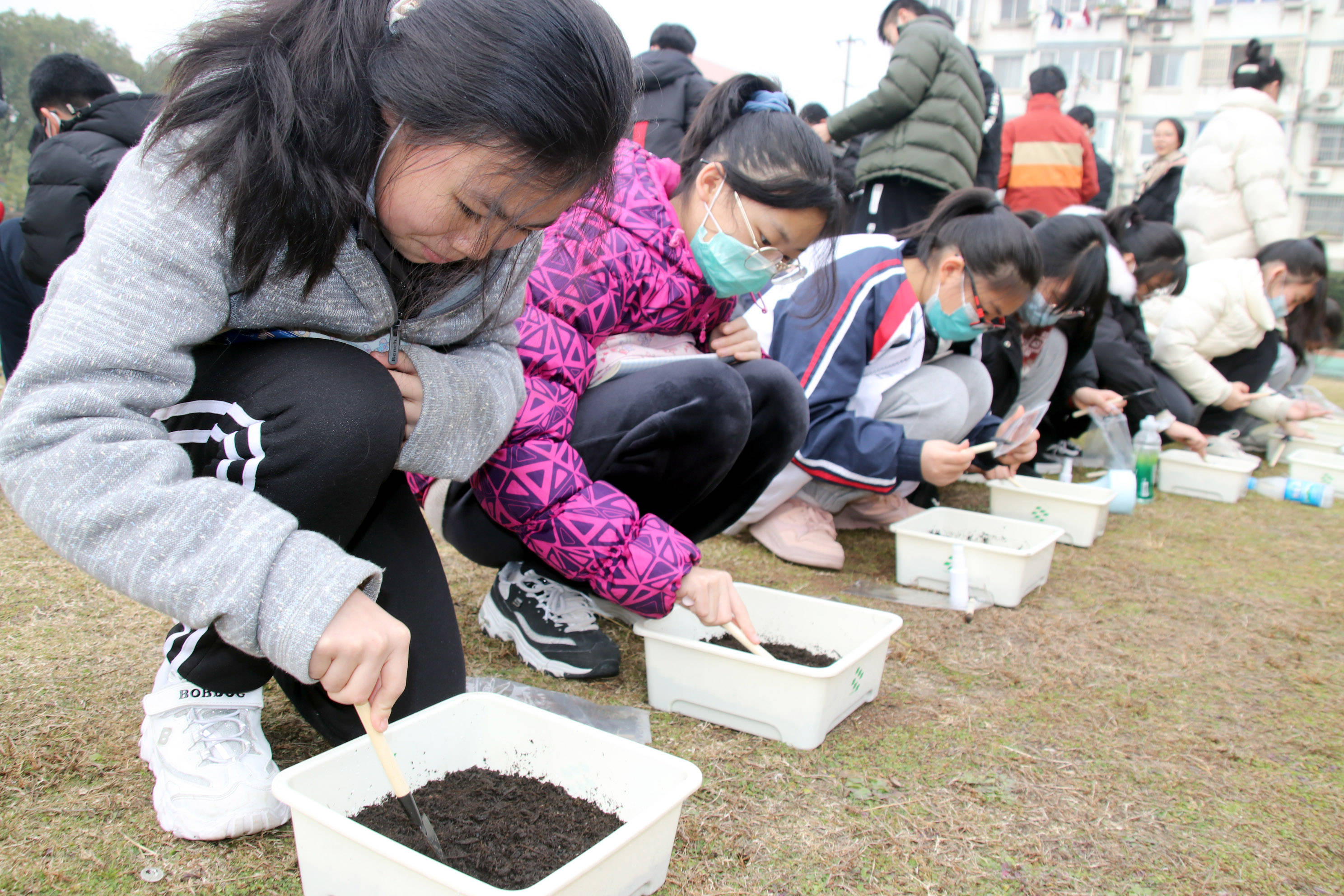 苏州农学院庞欣博士走进吴中区迎春中学为学生授课-搜狐大视野-搜狐新闻
