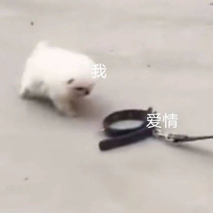 【】有较强的自我管理意识爱情 
