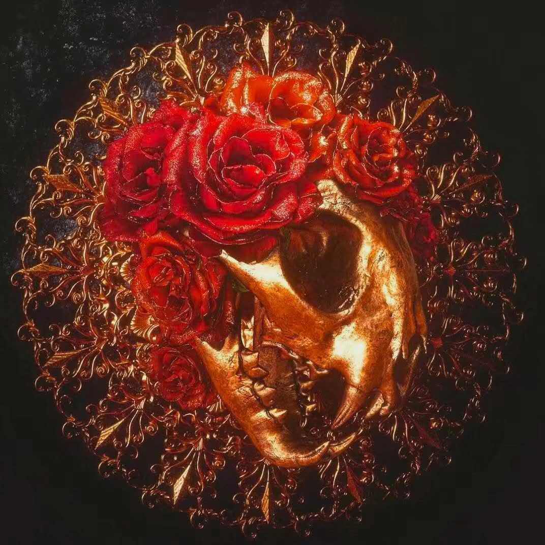 英国3D艺术家 Billelis 的暗黑美学-搜狐大视野-搜狐新闻