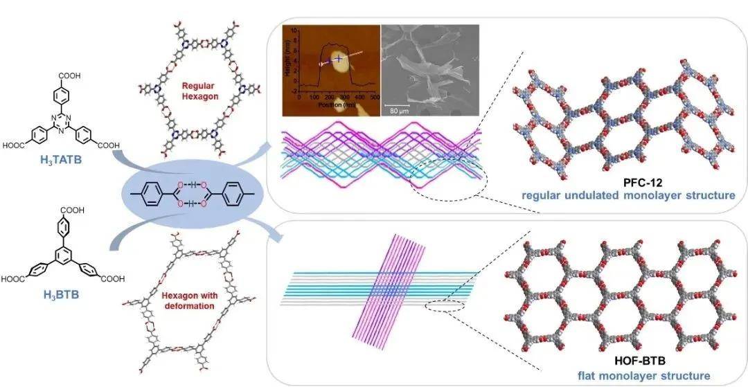 福建物构所氢键有机框架 (HOFs) 材料研究取得新进展-搜狐大视野-搜狐新闻
