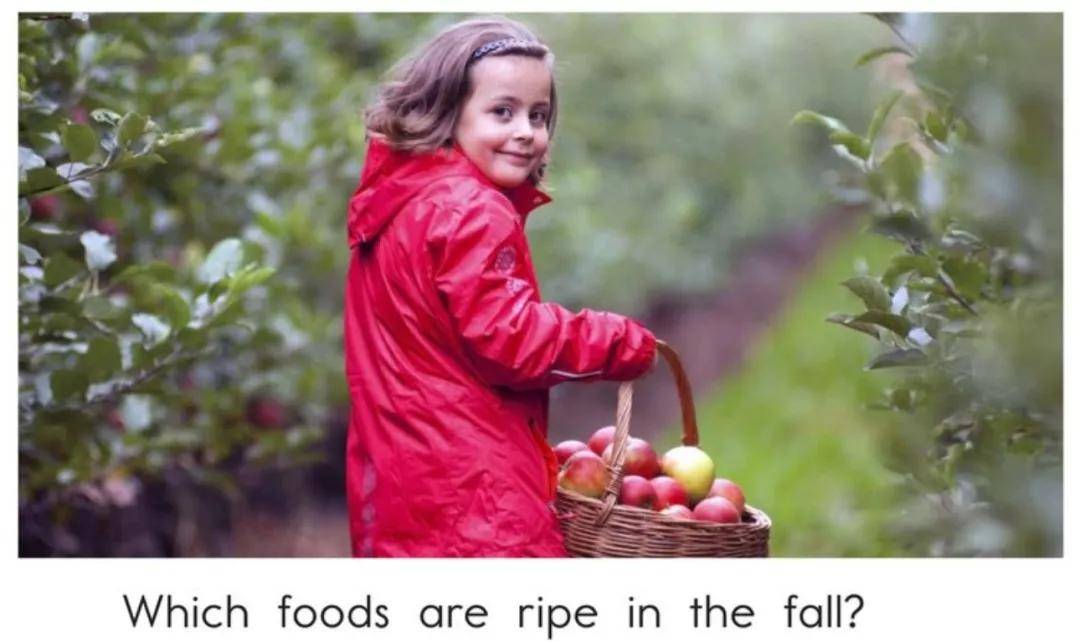伴读 | Raz C：Fall Foods_them