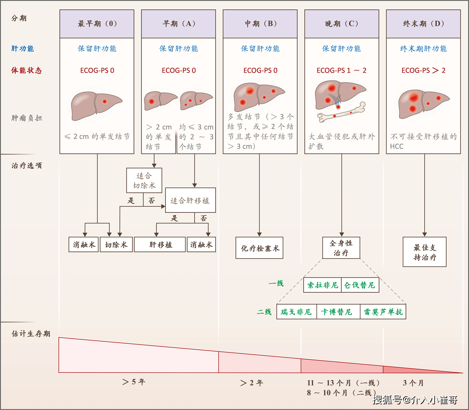 什么是肝癌巴萨罗那BCLC分期？_治疗