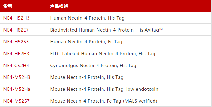 Nectin-4：癌症中发挥重要作用，ADC赛道又一高光靶点_药物