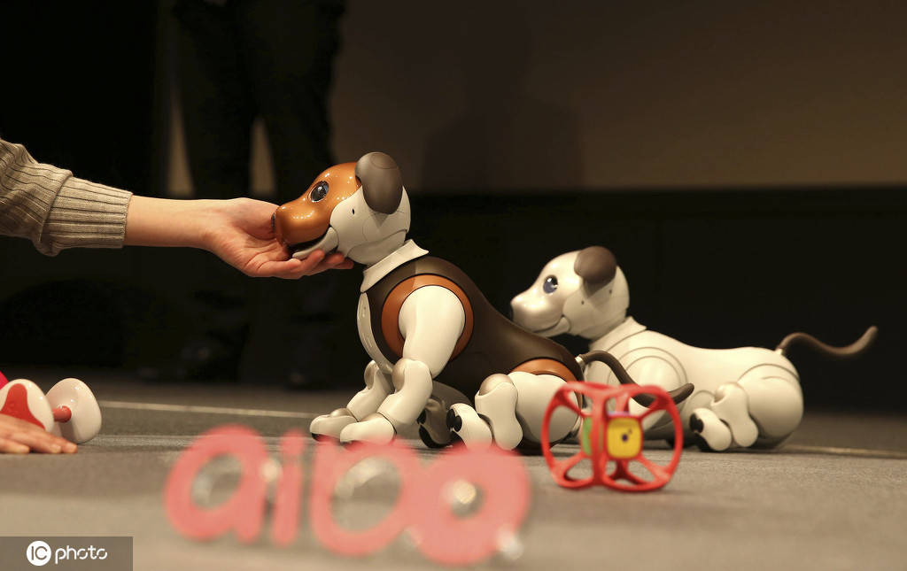 索尼机器狗Aibo推出巧克力新配色-搜狐大视野-搜狐新闻