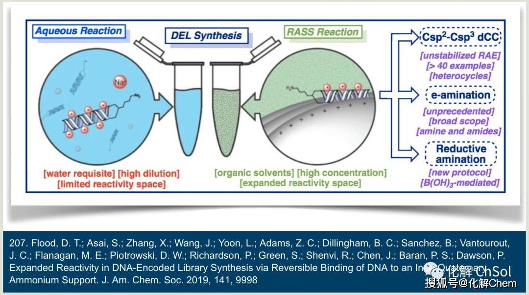 超级巨星 Phil S. Baran：领先20年_合成