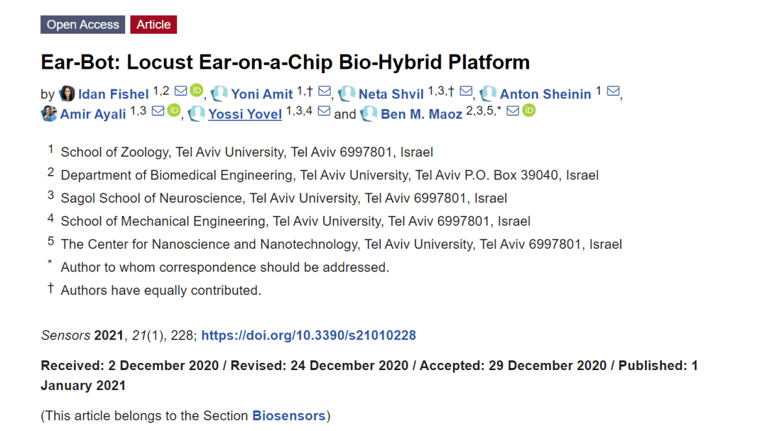 恢复哆啦A梦听觉！实装蝗虫耳朵，生物机器人可以听到声音，还能区分和响应_Ear-bot