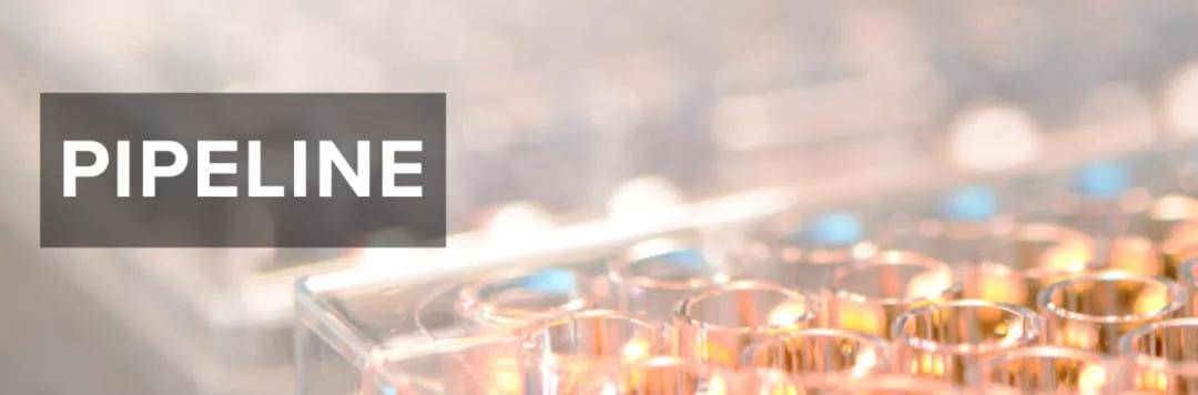 乙肝在研新药EDP-514，I期健康者试验，预计4至5月完成_研究