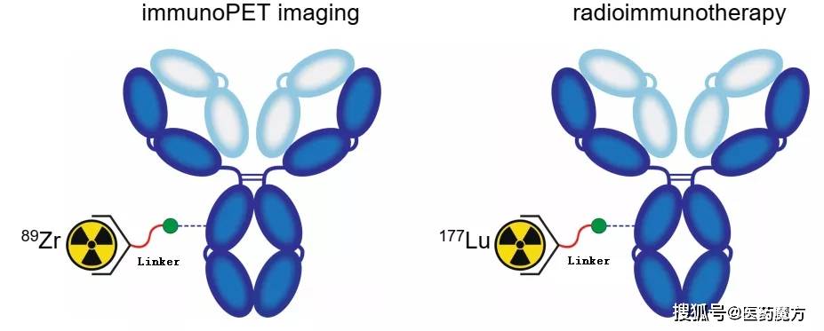 核素偶联药物（RDC）：黑色大幕，悄然开启_抗体