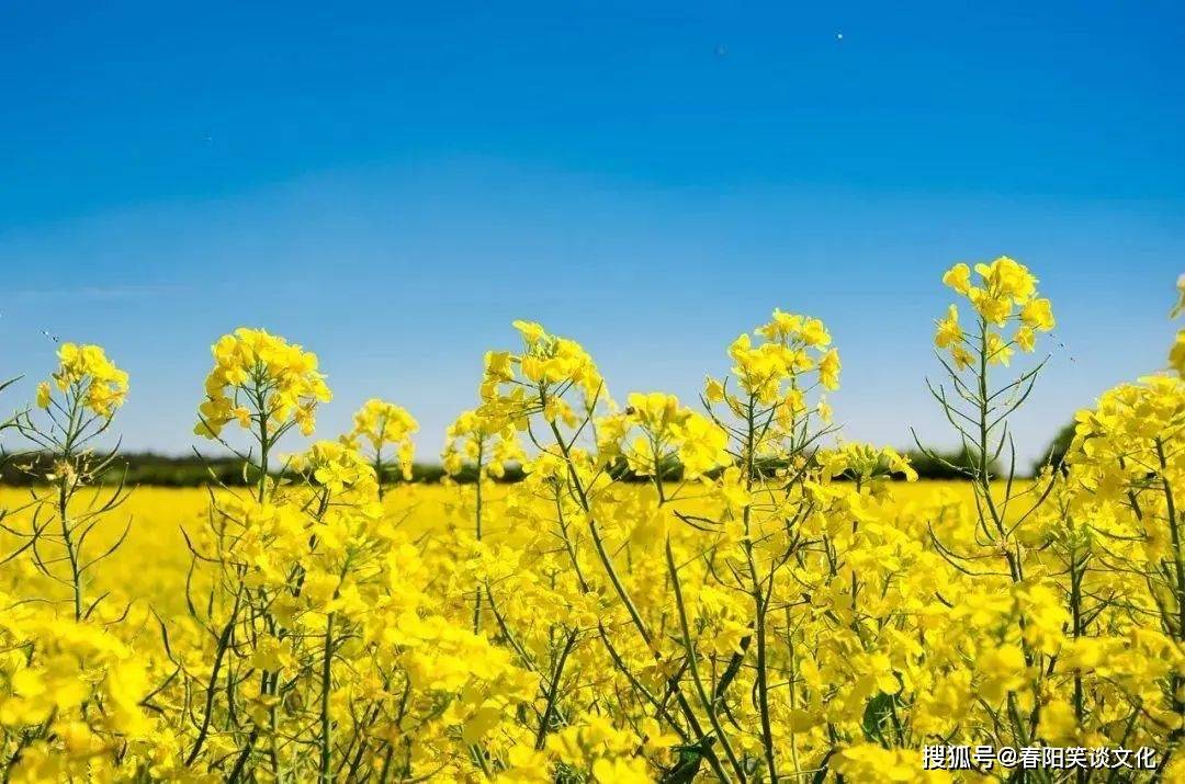 人生百味,酸甜苦辣,品过方知真滋味经历