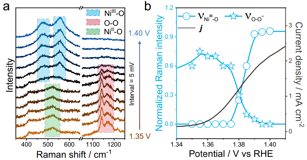 南开谢微团队Angew：表面增强拉曼光谱证明OER关键过渡态_催化剂