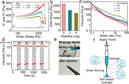 《CM》可注射原位形成双网络水凝胶，以提高移植细胞的活力和保留_进行