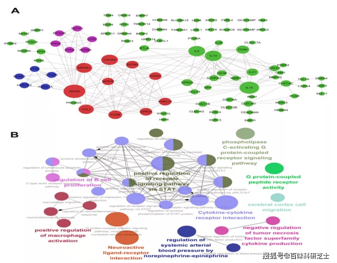 单基因免疫微环境相关分析发4分+SCI_DEmRNAs