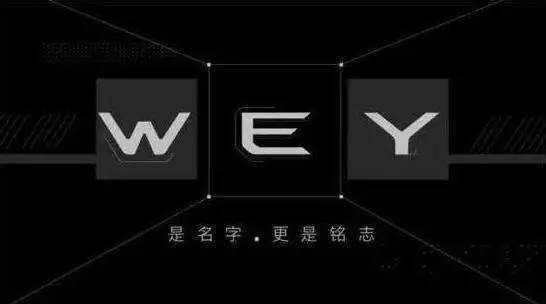 长城WEYVV6用户投诉：不到两年发动机更换，内饰开裂_搜狐汽车_搜狐网