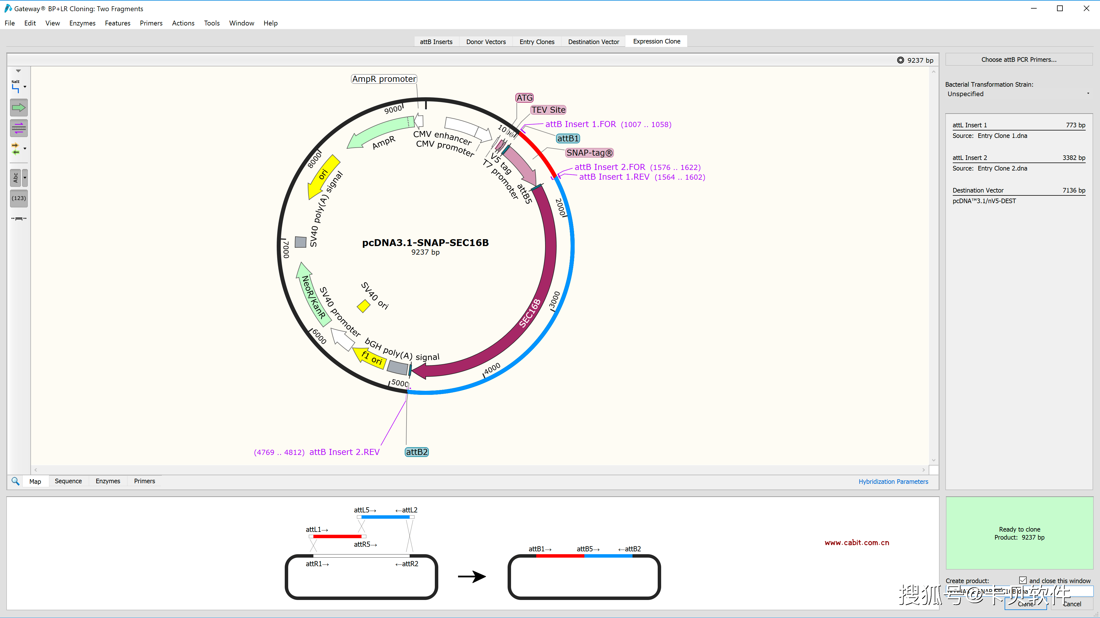 SnapGene 5.3.2 for Windows or Mac- 分子生物学软件|Molecular Biology_克隆