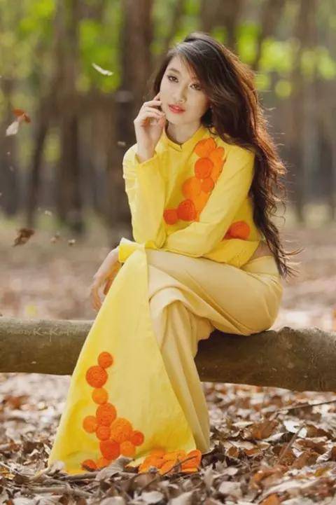 越南的“奥黛”美女，真迷人！ -6parkbbs.com