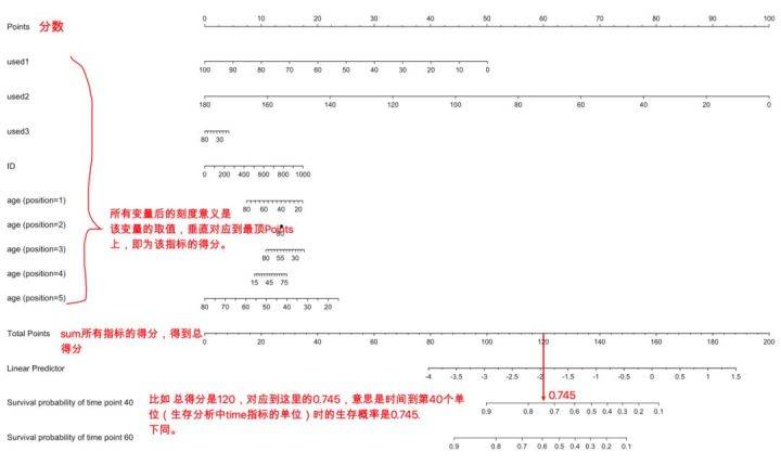 真实世界大数据分析系列|Nomogram图的基本原理与R语言实现_函数