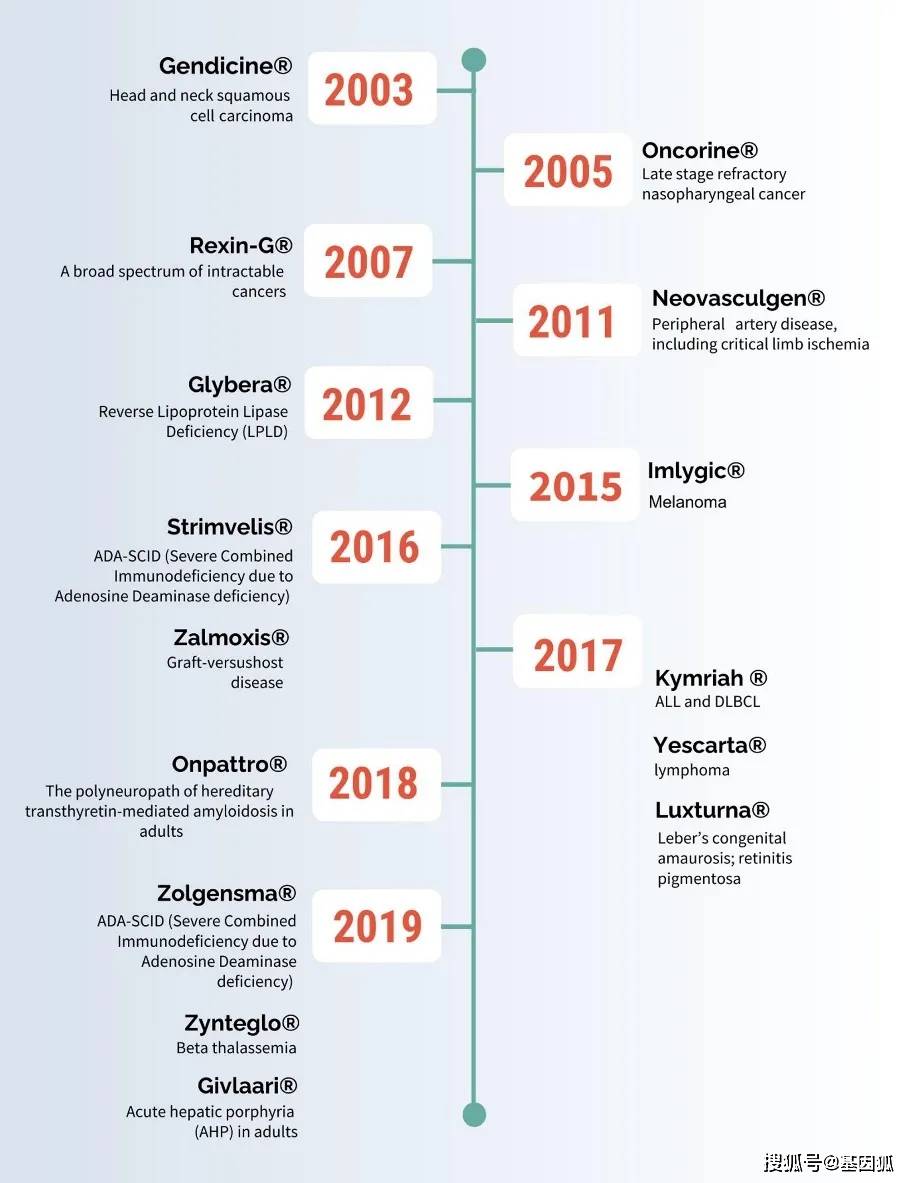 基因治疗：从临床前开发到临床应用_基因组