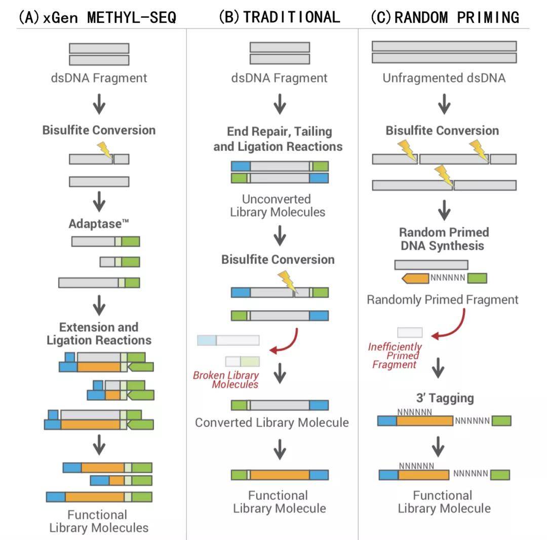 DNA甲基化与癌症之NGS检测篇_基因组_肿瘤_水平