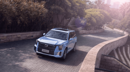 拉开全面混动化时代大幕，广汽传祺全新第二代GS8 18.68万元正式上市_搜狐汽车_搜狐网