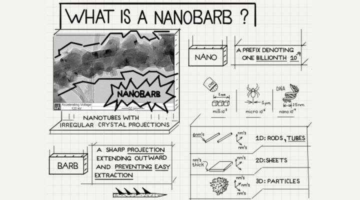 大连义邦与BNNano公司达成合作，引入含量（>90%)氮化硼纳米管BN Nanobarb_搜狐网