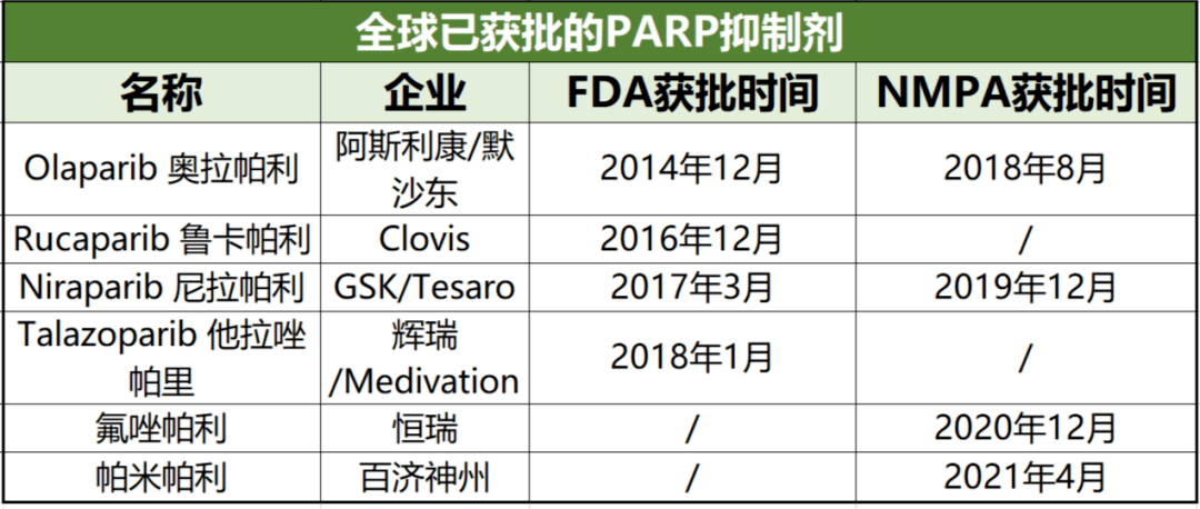 英派医药完成D1轮融资，一文带你梳理全部管线_合成_公司_卡帕利