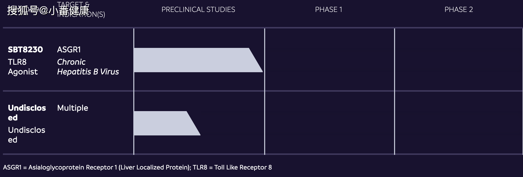 乙肝在研新药SBT8230，2023年上半年进1期，今年末完成监管提交_临床_开发_Shawver