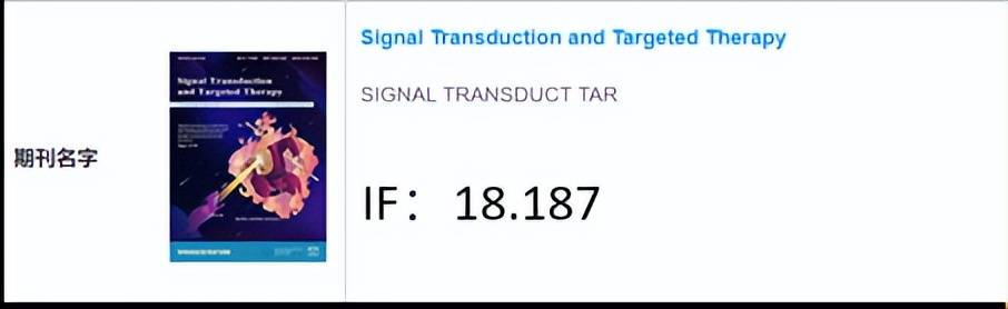 【SCI文献解读】SRSF1在肿瘤发生中的新调控作用_Bcl-x_调节_诱导