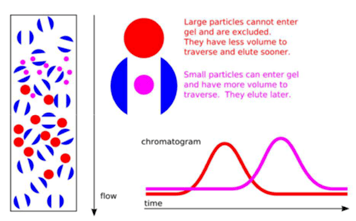 凝胶色谱|分子量分布研究为什么大家选择GPC-MALS-RI联用技术呢？_浓度_聚合物_溶液
