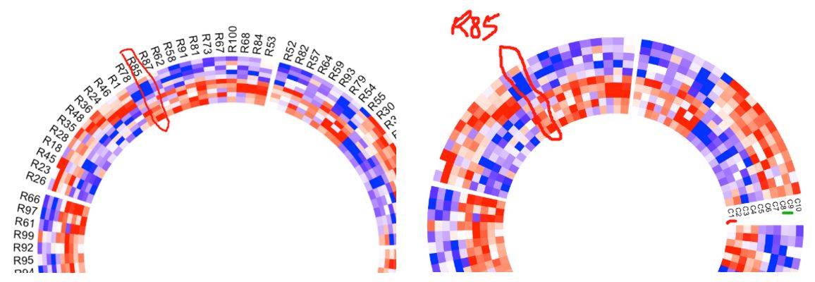 circlize R包在线绘制圆形热图，bug修复版_数据_数值_环形