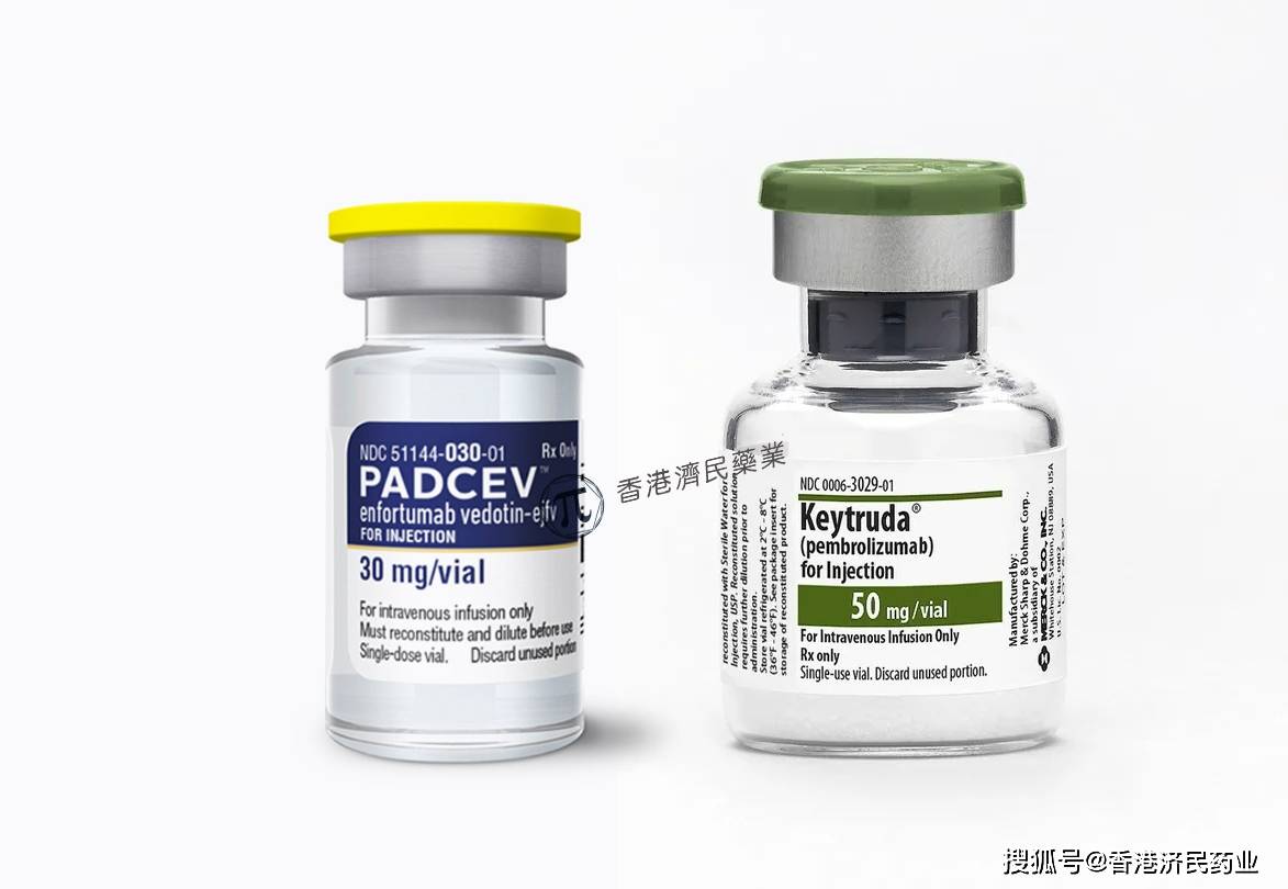 Padcev+Keytruda达到膀胱癌研究的主要终点：产生了可喜的应答_Seagen_结果显示_患者