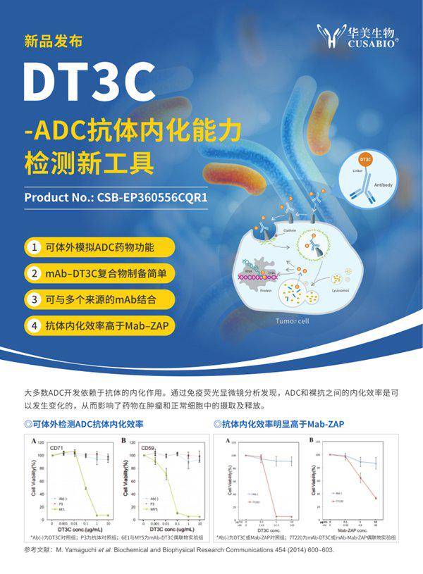 DT3C：ADC抗体内化效率体外检测新工具_药物_Mab-ZAP_mAb