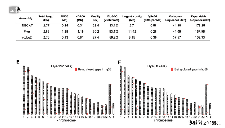 学术前沿：单细胞测序，助力人类基因组从头组装_平台_PacBio_SMOOTH-seq