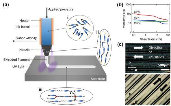 新加坡南洋理工大学周琨教授团队综述：4D打印液晶弹性体研究进展_技术_取向_制造