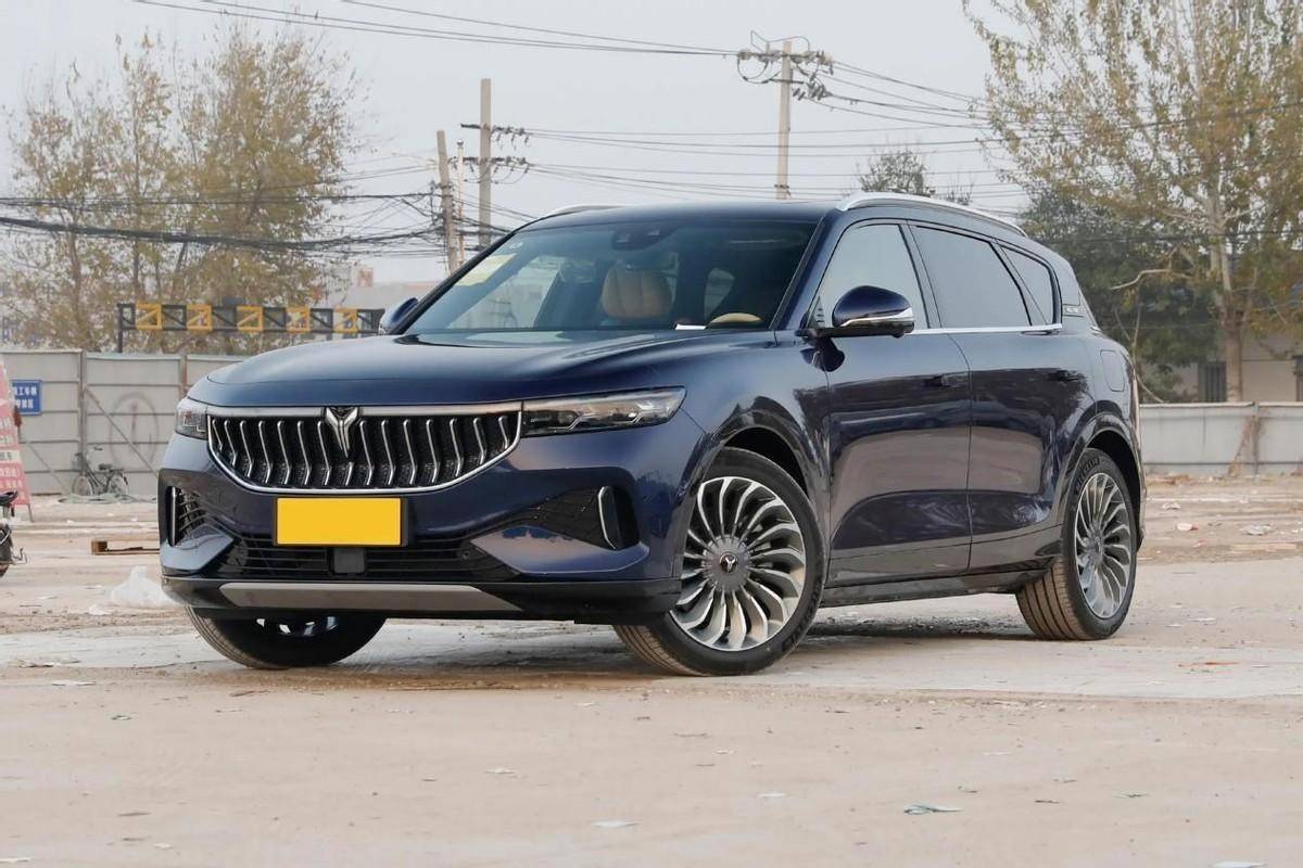 30多万想买电车，岚图FREE、蔚来ES6、Model Y谁才是最佳选？_搜狐汽车_搜狐网