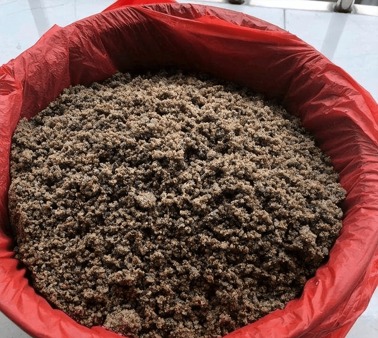 5种“小玩意”，拿来养花太赞了，土更肥花更旺，不花一分钱_土壤_植物_根系