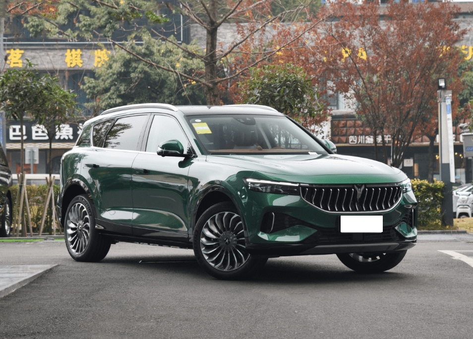 国产车后来者居上，30万级中大型SUV，岚图FREE和理想L8怎么选？_搜狐汽车_搜狐网