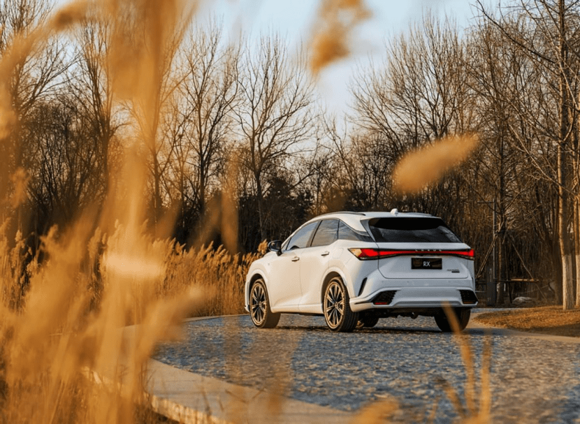 今年硬货不少 比亚迪海鸥/坦克700/标致408X 兔年值得关注的新车_搜狐汽车_搜狐网