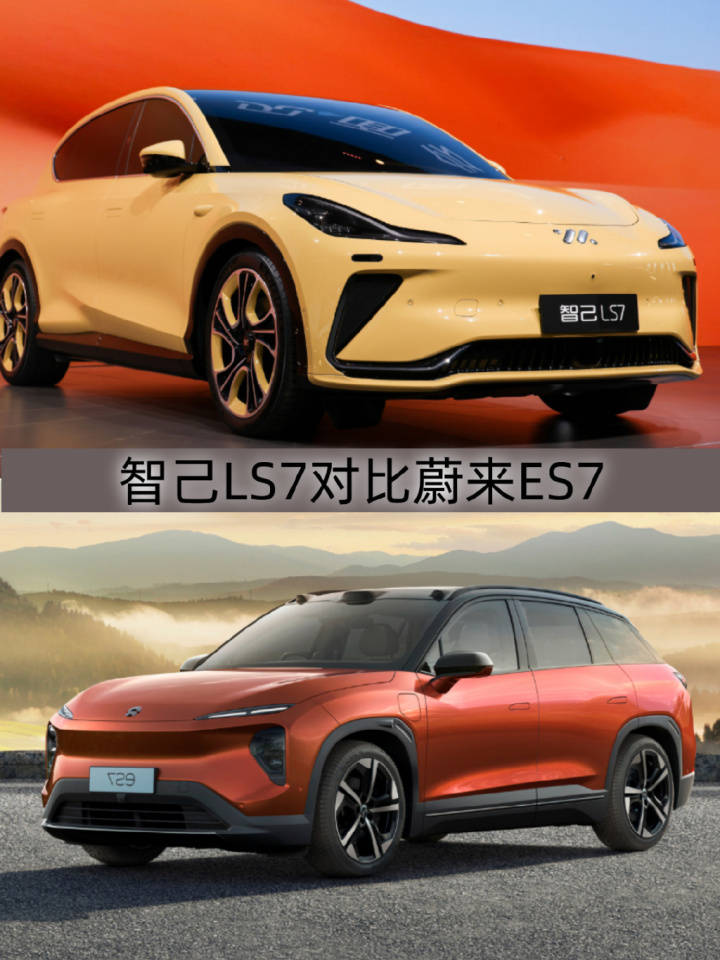 新势力豪华SUV对决：智己LS7对比蔚来ES7谁更超值？_搜狐汽车_搜狐网