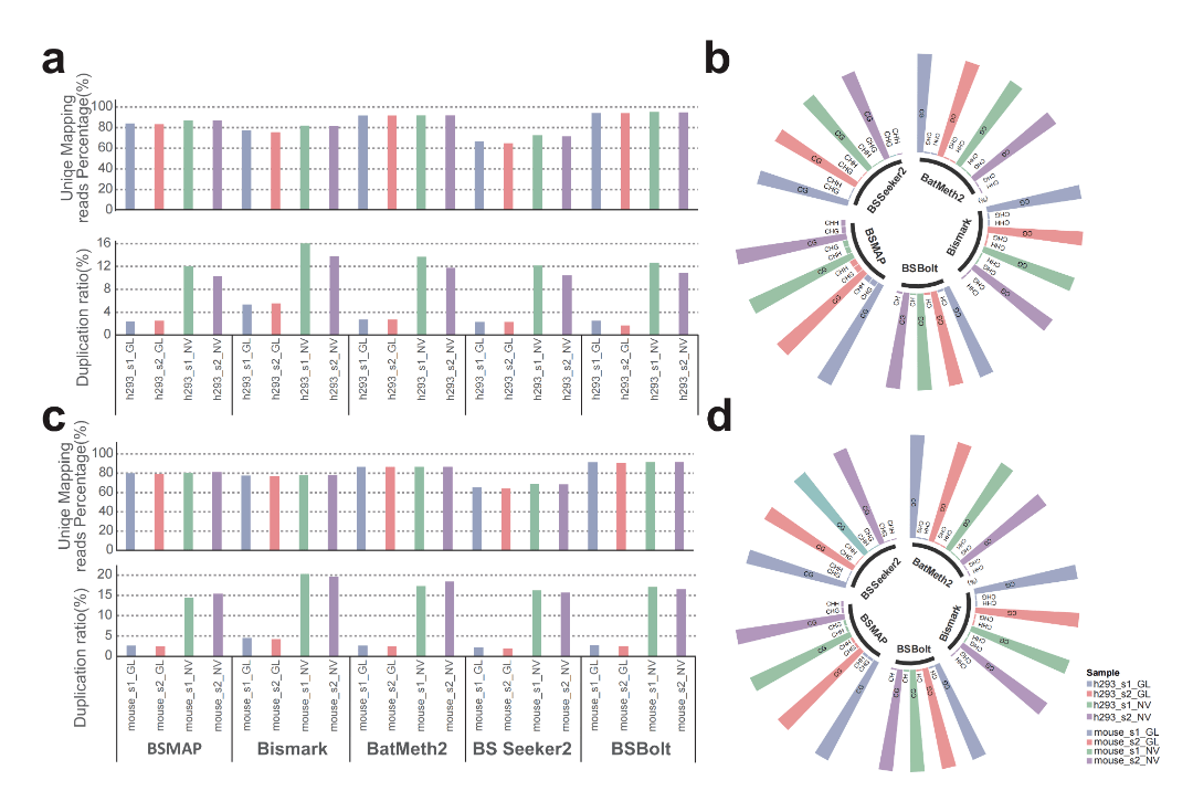 表现优异！真迈生物GenoLab M平台全基因组甲基化测序研究成果发布_分析_数据_软件