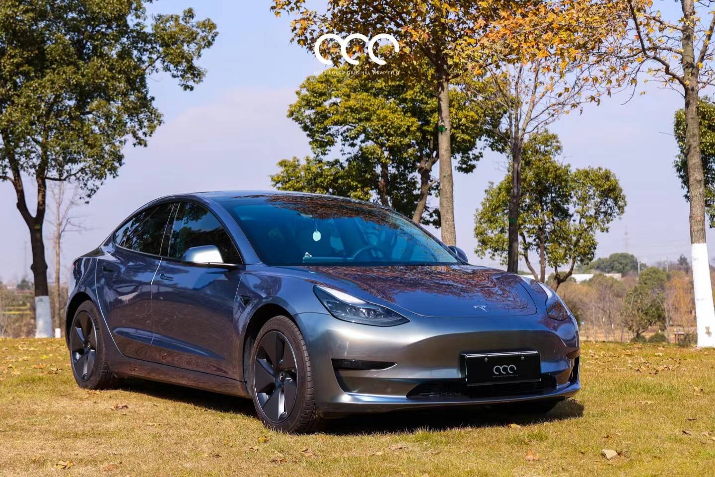 特斯拉MODEL3漫彩改色膜渐变亮面绿幻紫，小姐姐的最爱_全国