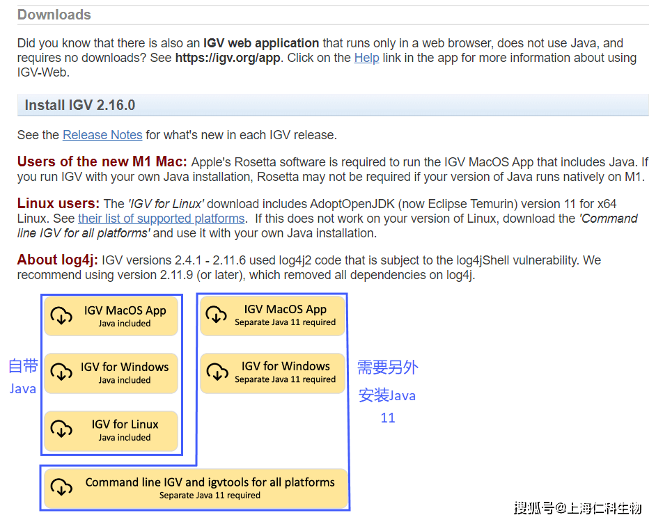 IGV快速上手指南——（一）安装和使用_文件_信息_bam
