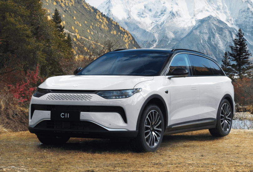 4月新能源SUV销量榜：宋第1，唐第5，理想L7第6，零跑C11第10_搜狐汽车_搜狐网