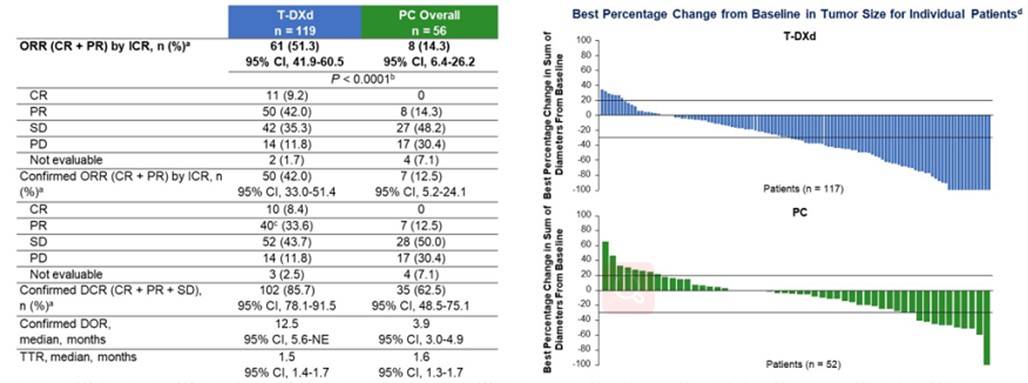 基因&用药 ‖ HER2 ADC药物在胃癌中的研究进展-上_治疗_DESTINY-Gastric_患者