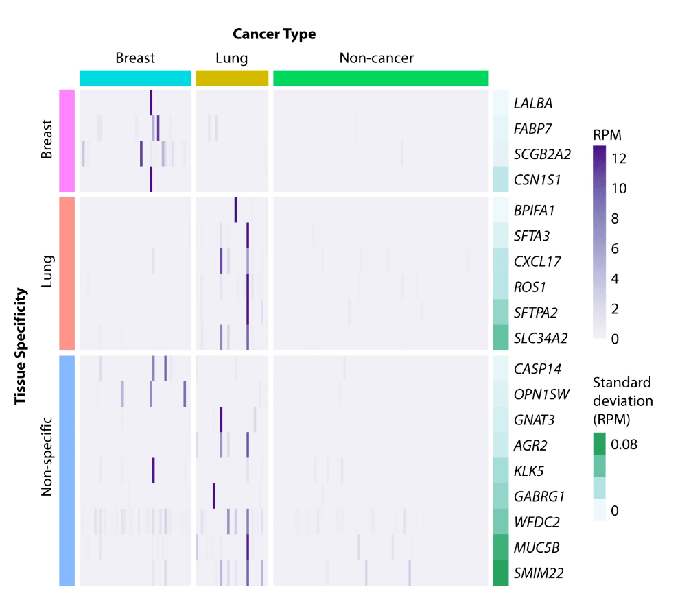 文献解析 | 分享一本探索癌症早期筛查游离细胞RNA讲述生物标记物文章_cfRNA_组织_基因组