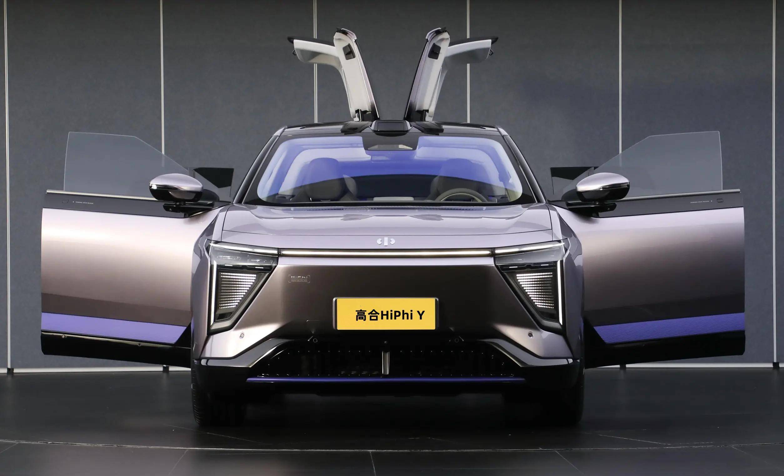 盘点新能源品牌的“杀手锏”，比亚迪令人敬佩，高合脑洞大开_搜狐汽车_搜狐网