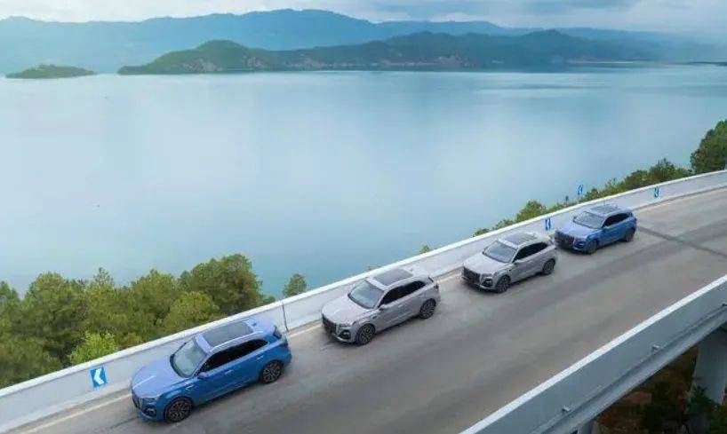 20万级最超值国产SUV 新红旗HS5实力不输BBA 买到就赚到_搜狐汽车_搜狐网