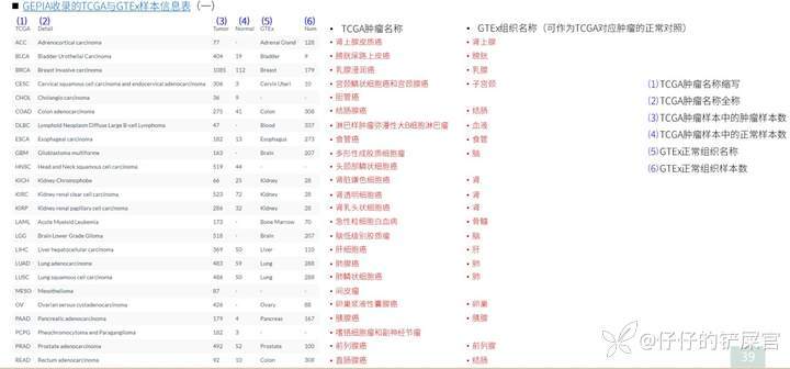 【科研工具包】转录因子预测及优化策略 ——JASPAR、NCBI、UCSC数据库联用_基因_序列_位点